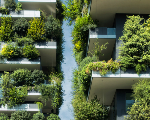 Climate Positive Pathway